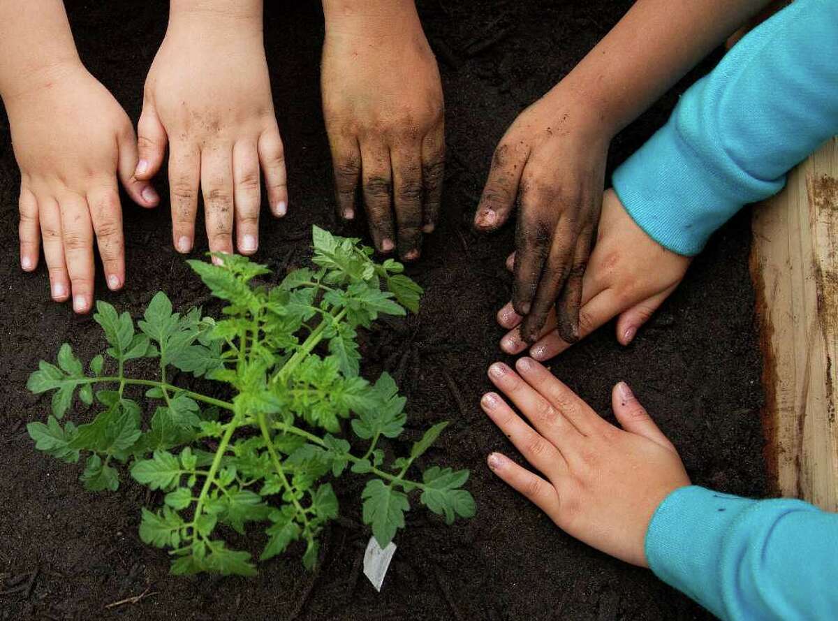 Learning through planting