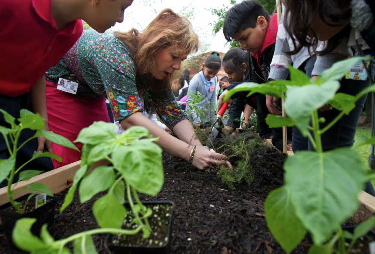 Learning through planting