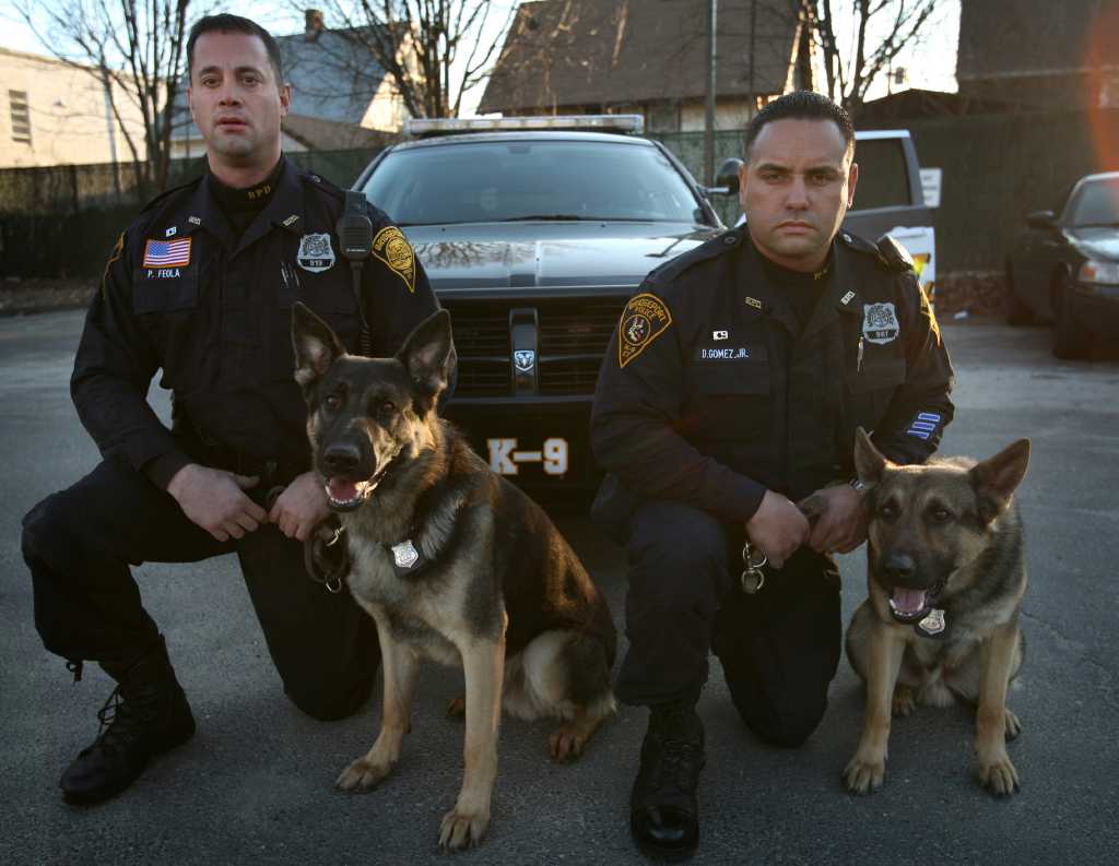 Cops: Man bitten by dog threw away gun