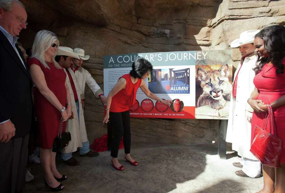 UH mascot Shasta celebrates wild birthday at Houston Zoo