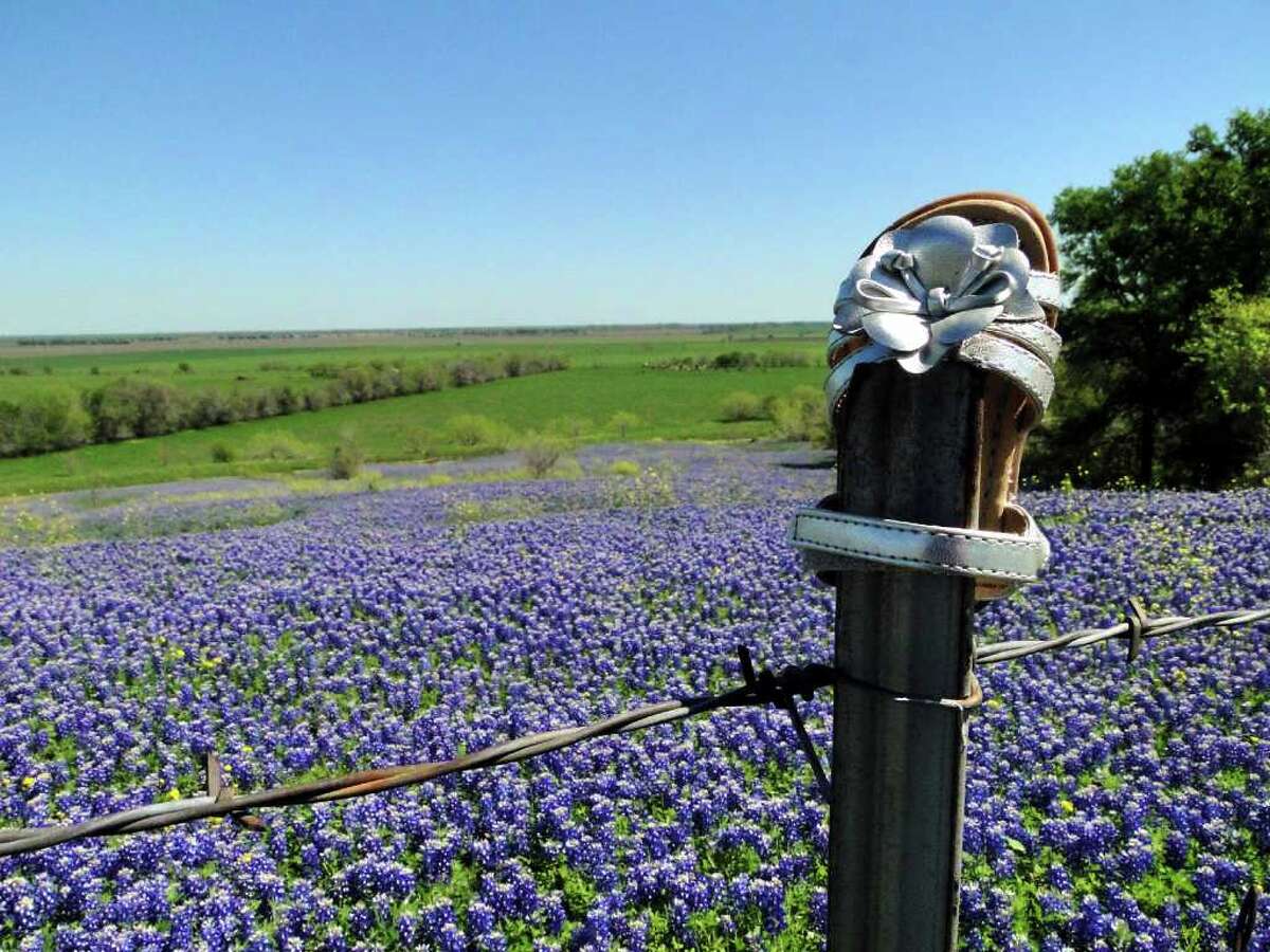 Bluebonnet Trails: When in Ennis, it pays to follow the directions