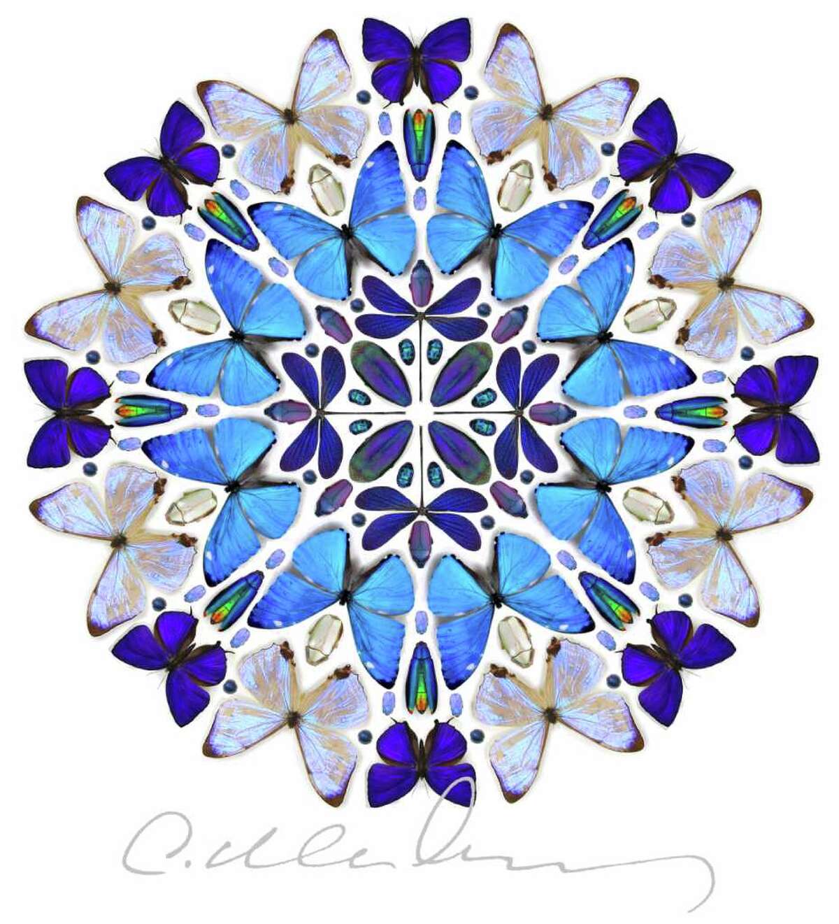 Designer-illustrator Christopher Marley is bugged