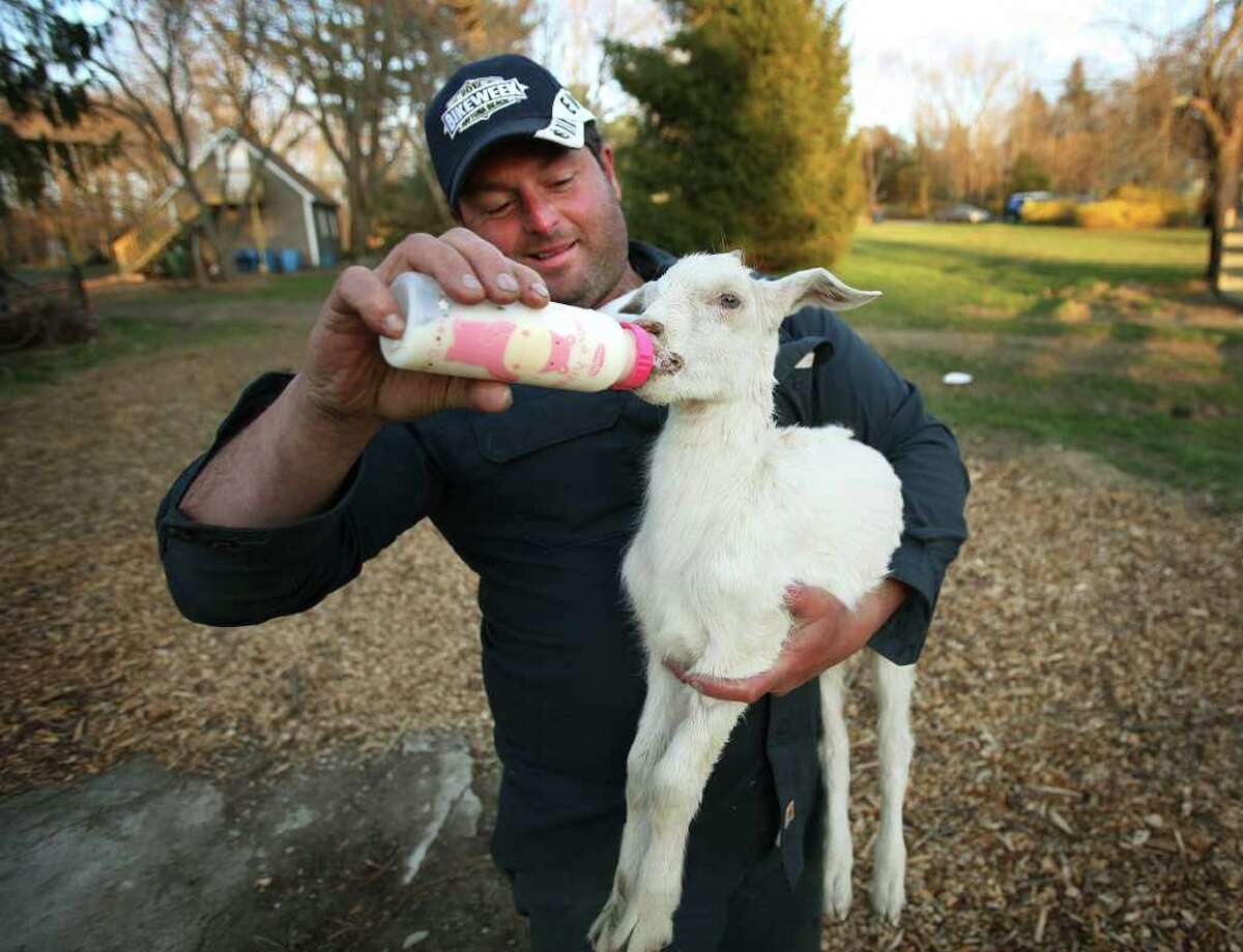 From goats to peacocks, he's saving them all