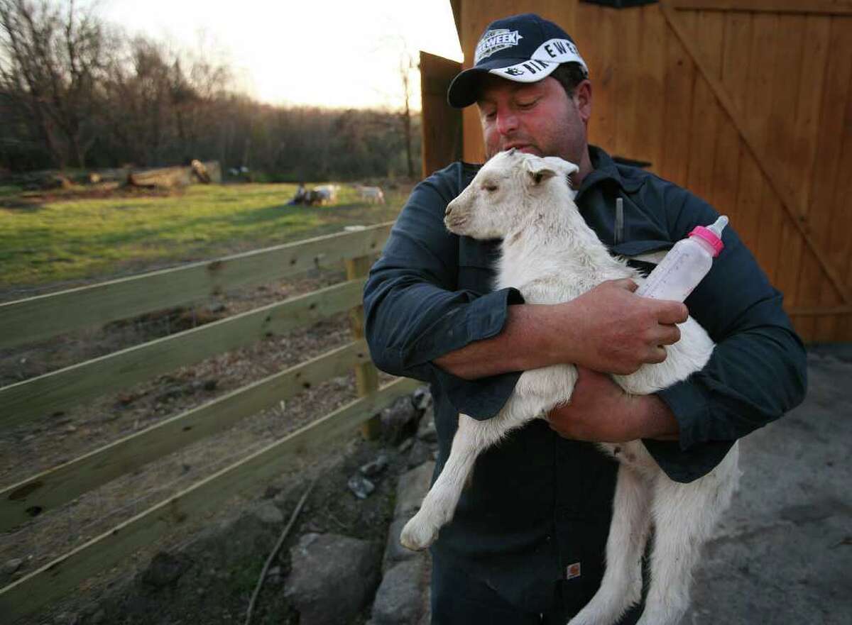 From goats to peacocks, he's saving them all
