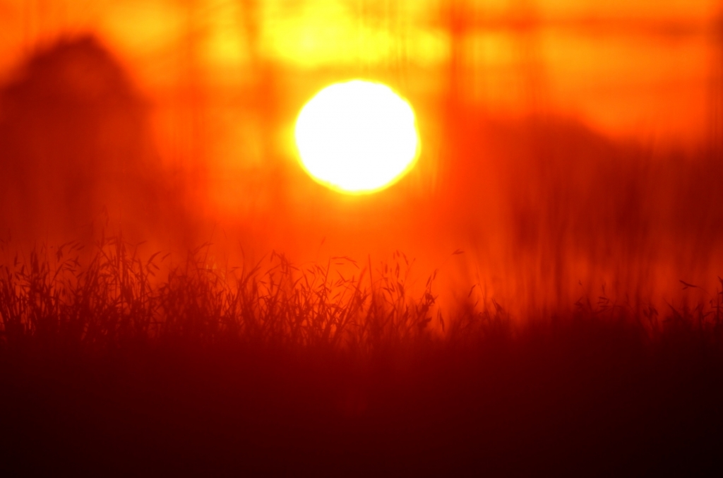 Dry, hot days ahead for Houston