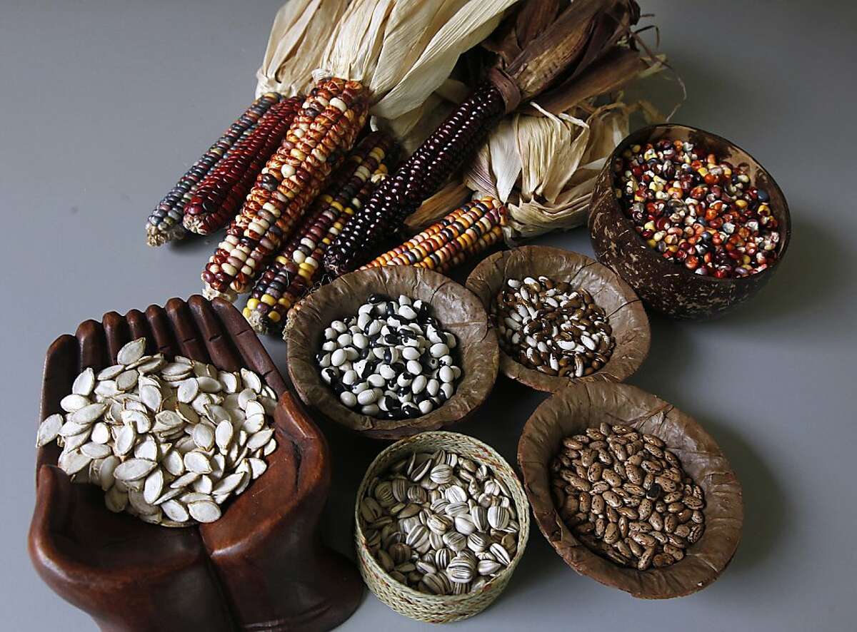 Living Seed company takes root from heirloom seeds