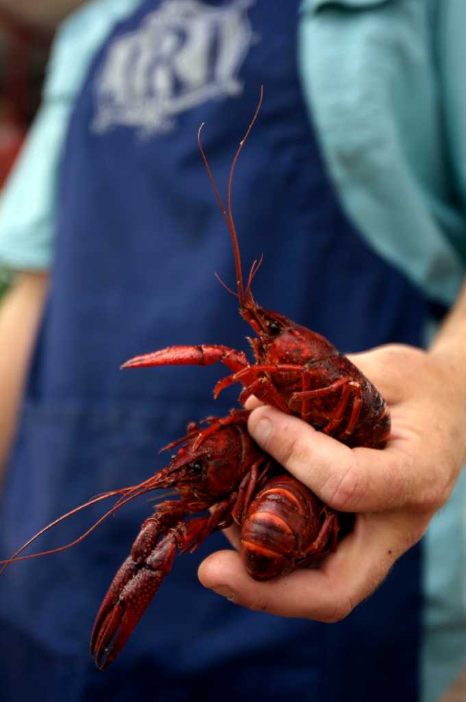 Food events: Mudbugs, art and wine