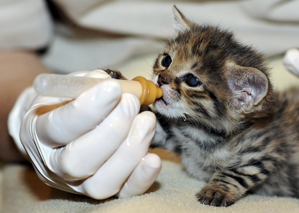 SFGate: Day in Pictures