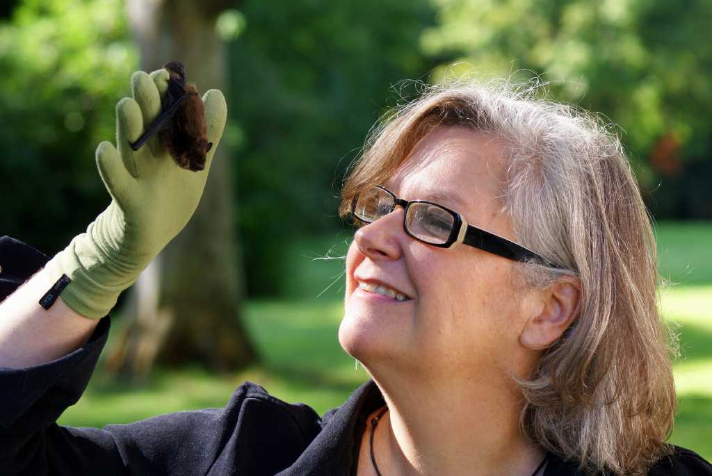 'Bat Lady' brings her tiny friends to Pequot Museum programs