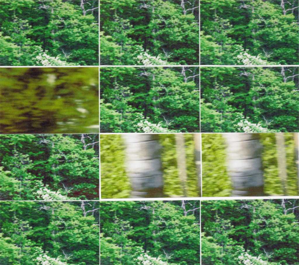 Photo Regional features work that reflects upon the state of the art