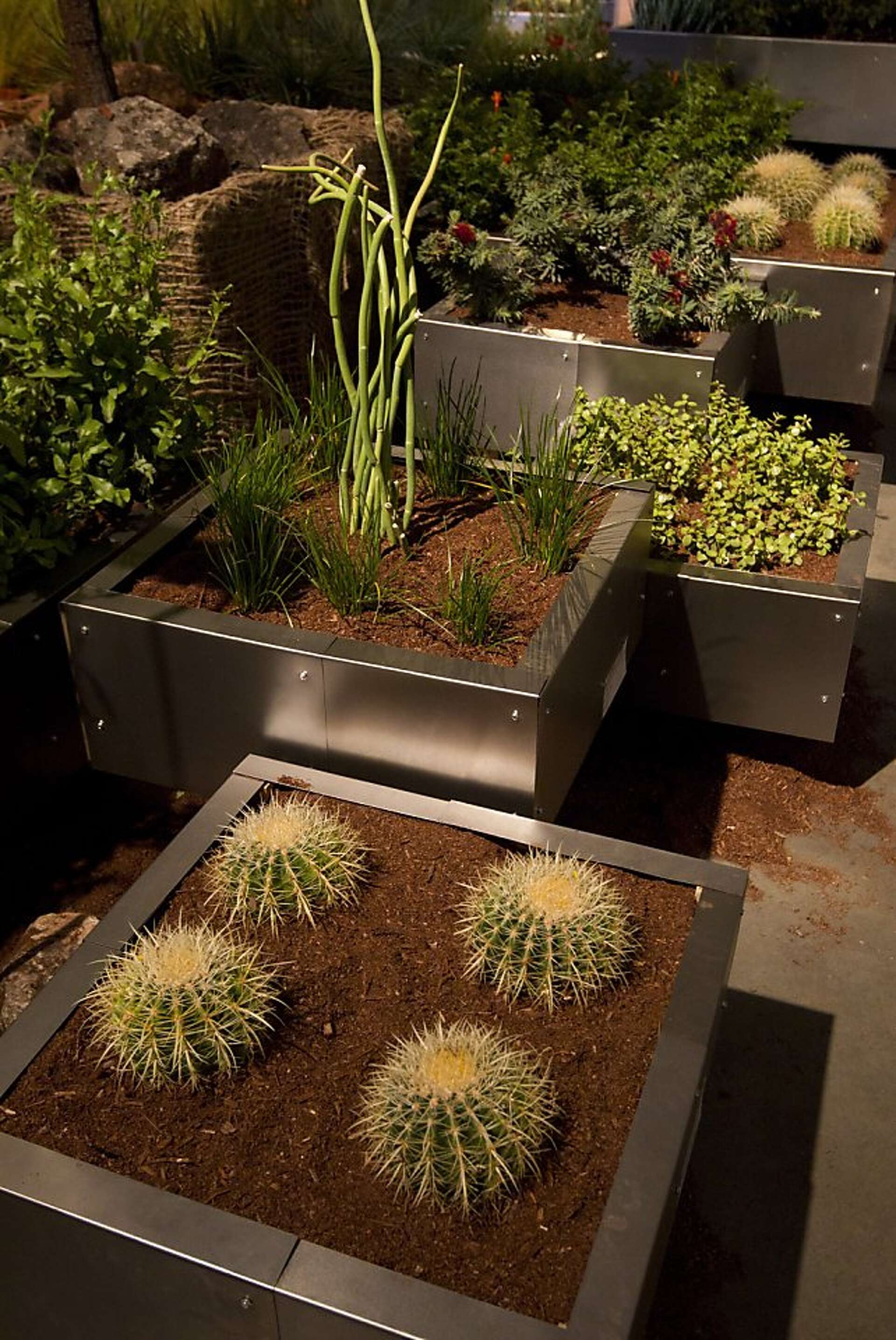 'Windows' wins gold at S.F. Flower & Garden Show