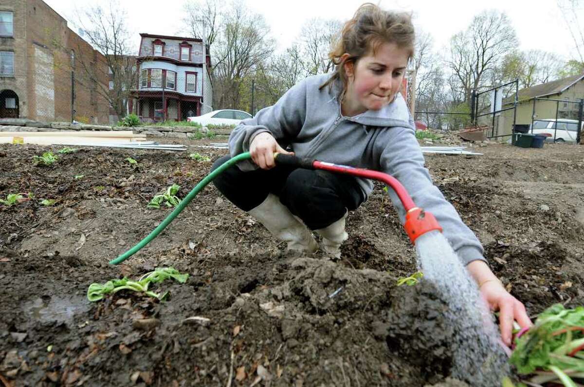 Photos: Greenhouse builders