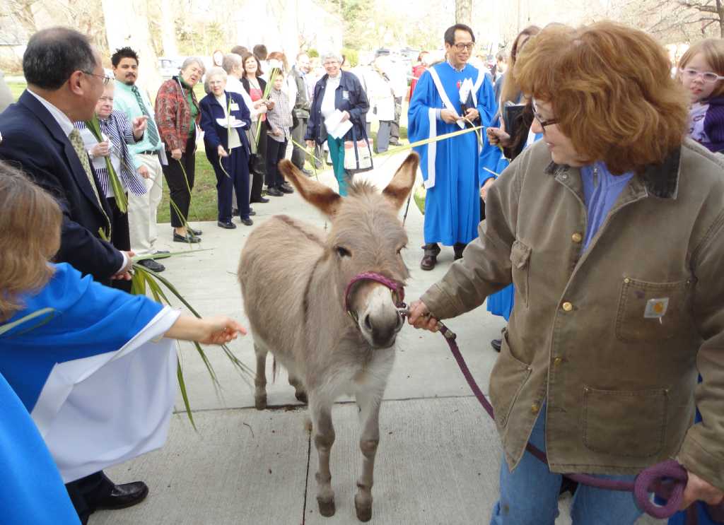 Donkey brings special meaning to Palm Sunday service