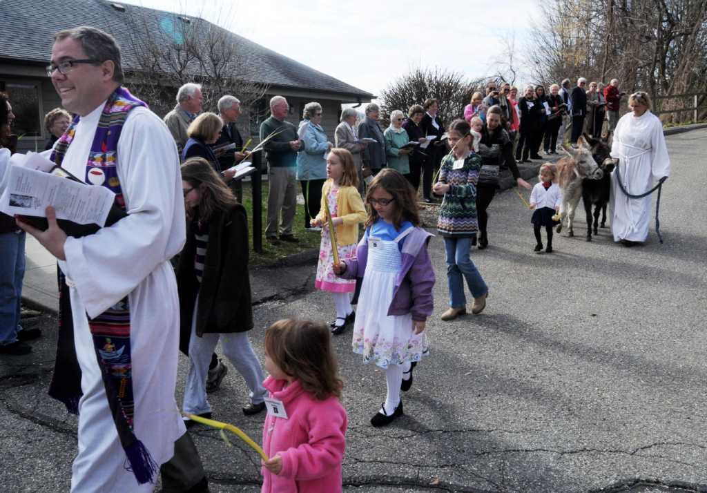 Donkeys join Palm Sunday procession