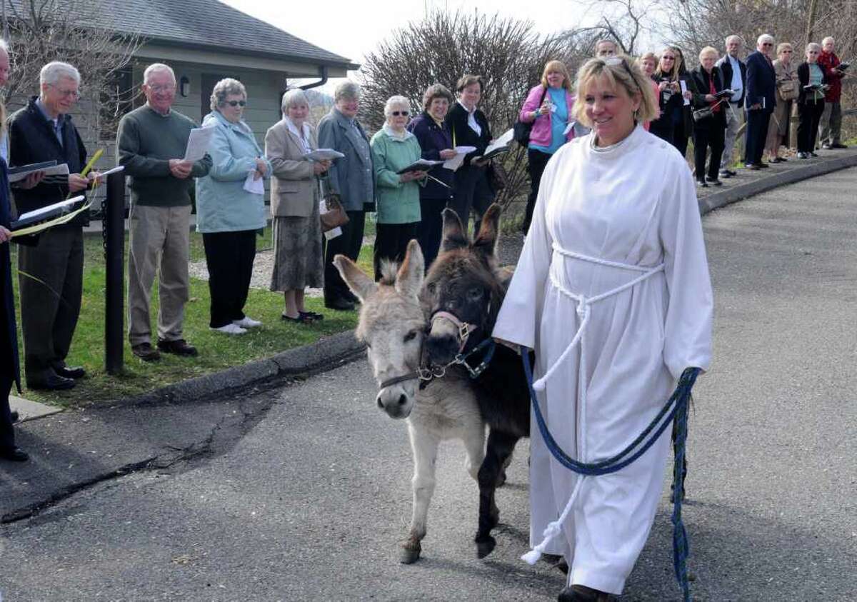 Donkeys join Palm Sunday procession