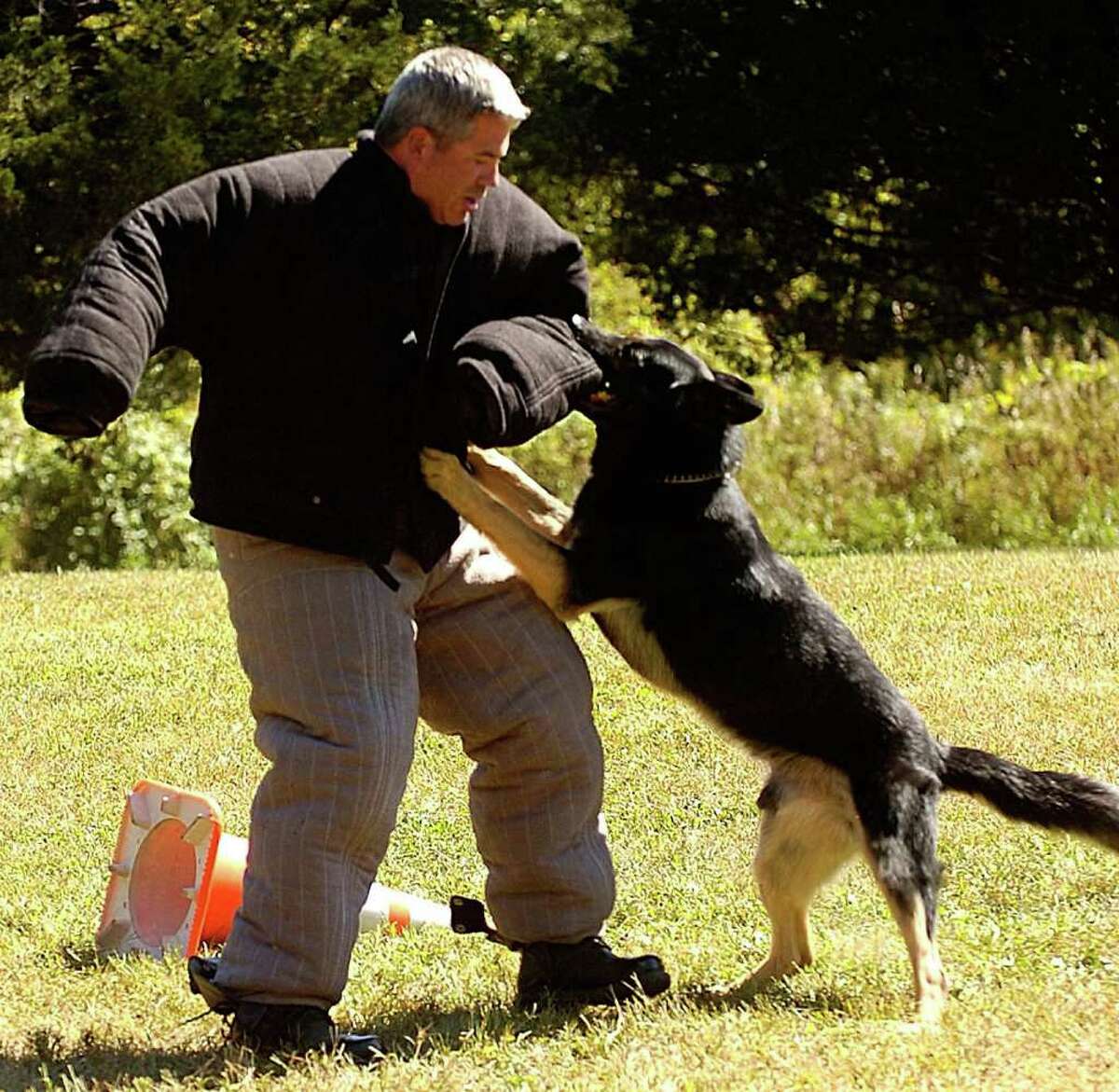 Police dog Onyx gone but not forgotten