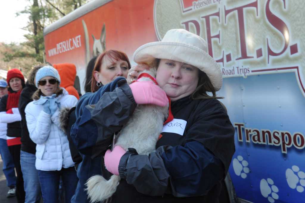 Cross country ride rescues 160 dogs