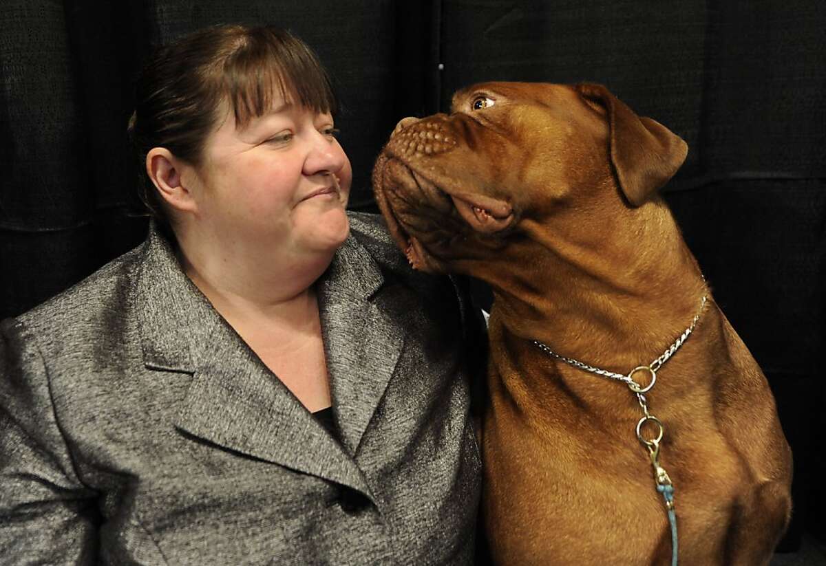 Westminster Kennel Club dog show
