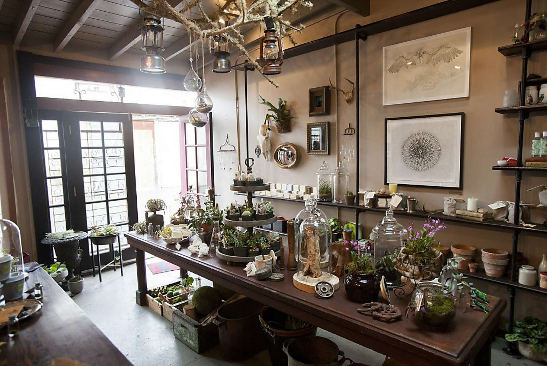 Oakland's hip and vibrant Temescal Alley takes off