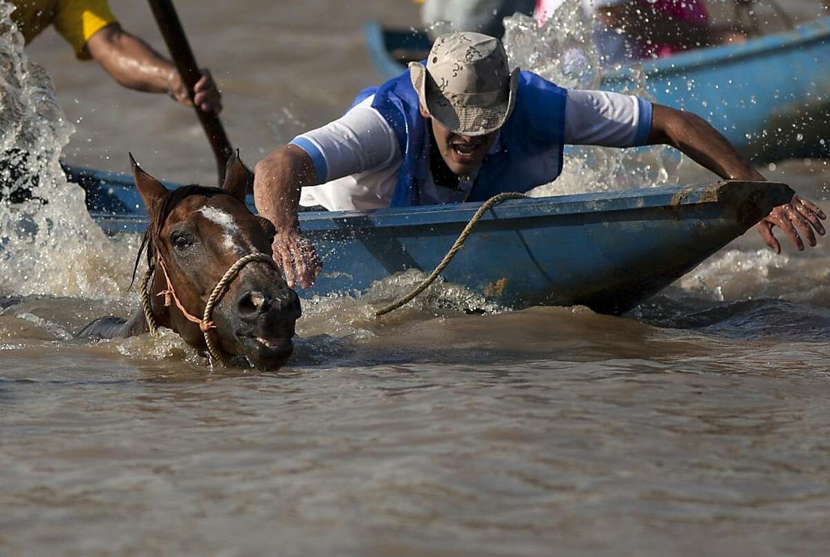 Venezuela river horse race honors nation's history