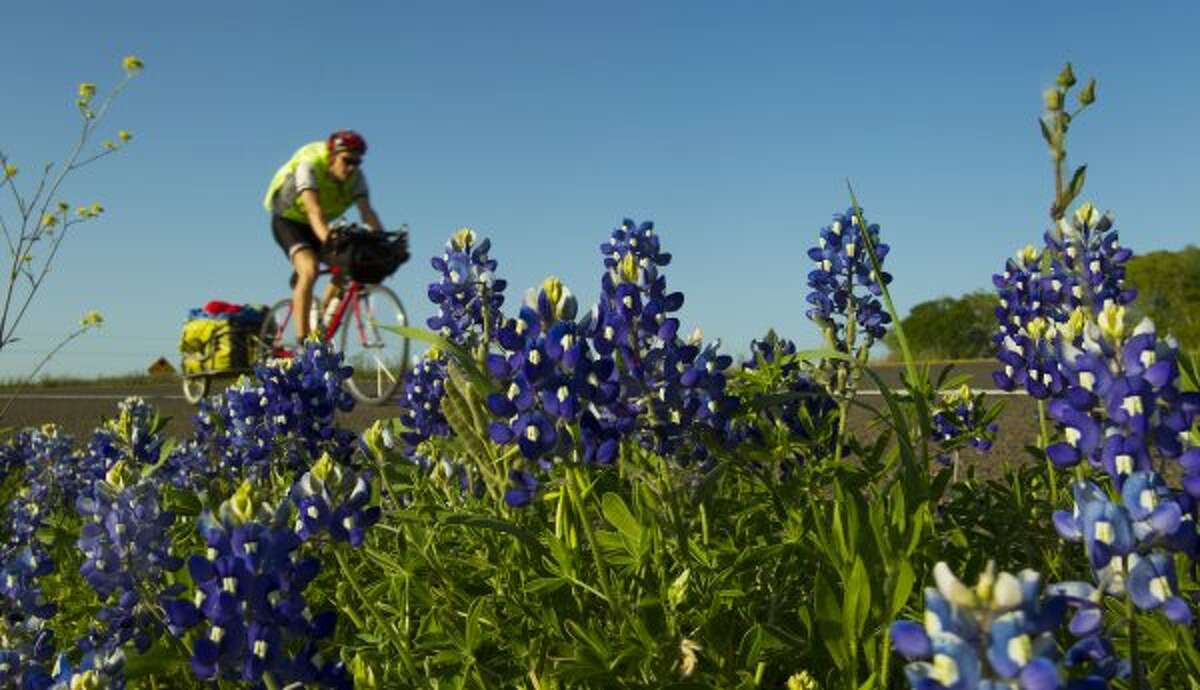 Your Texas wildflower season forecast
