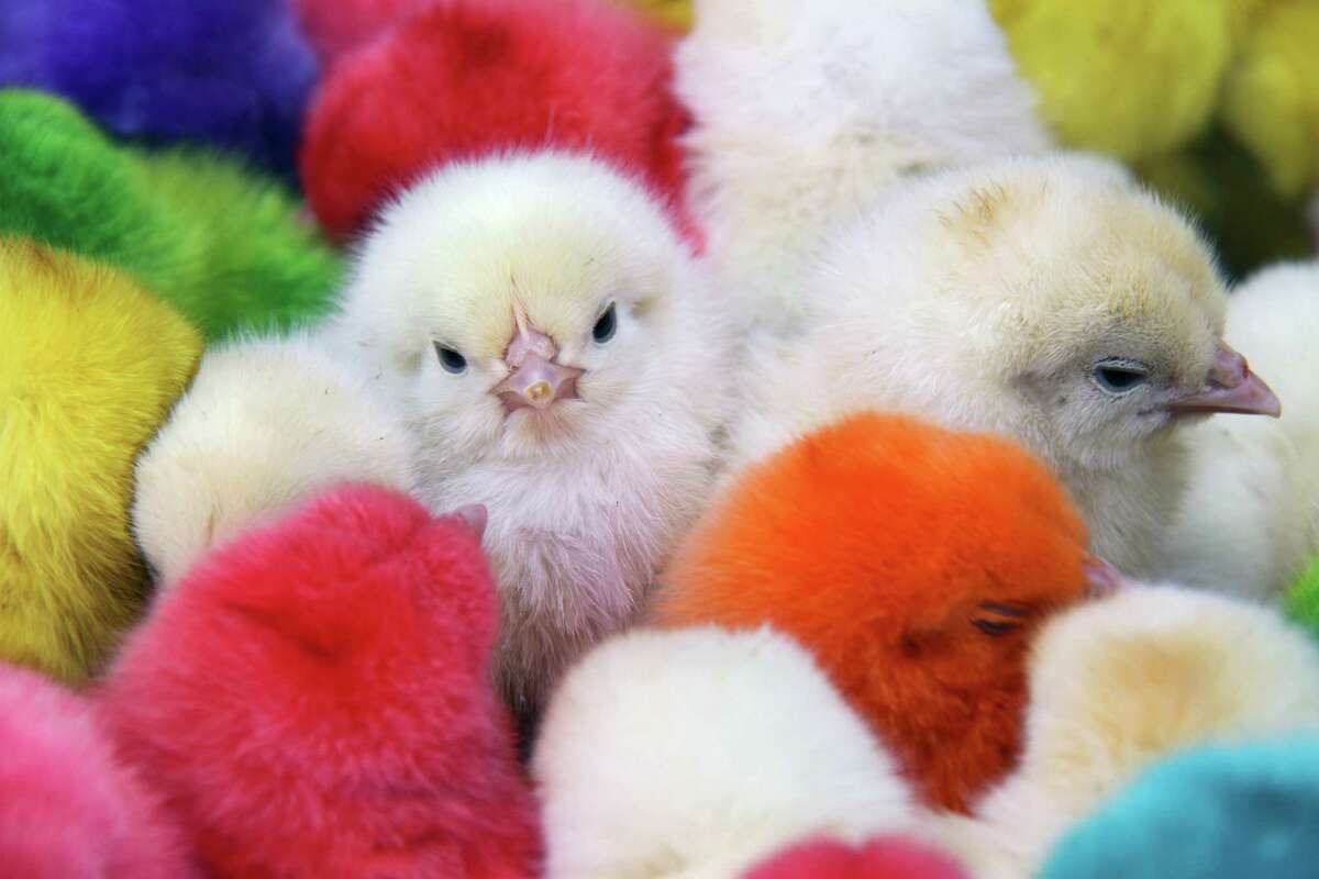 The World Celebrates Easter