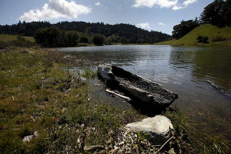 16 hikes you must do in Marin County - SFGate