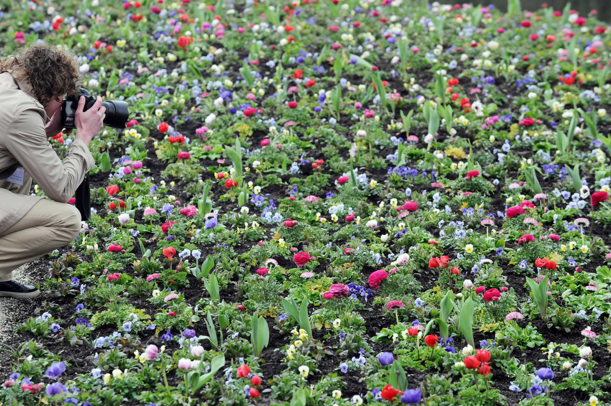 Top 7 places to see beautiful flowers