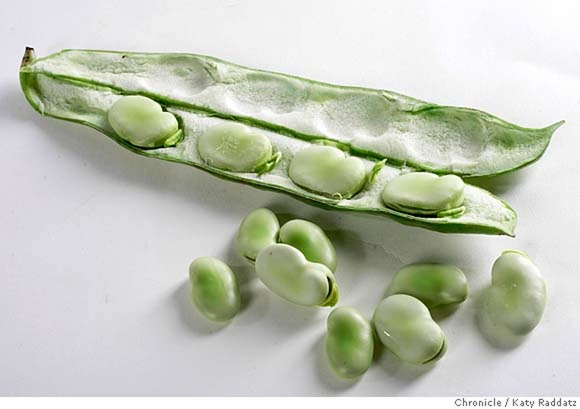 Plant of the Week: Fava beans