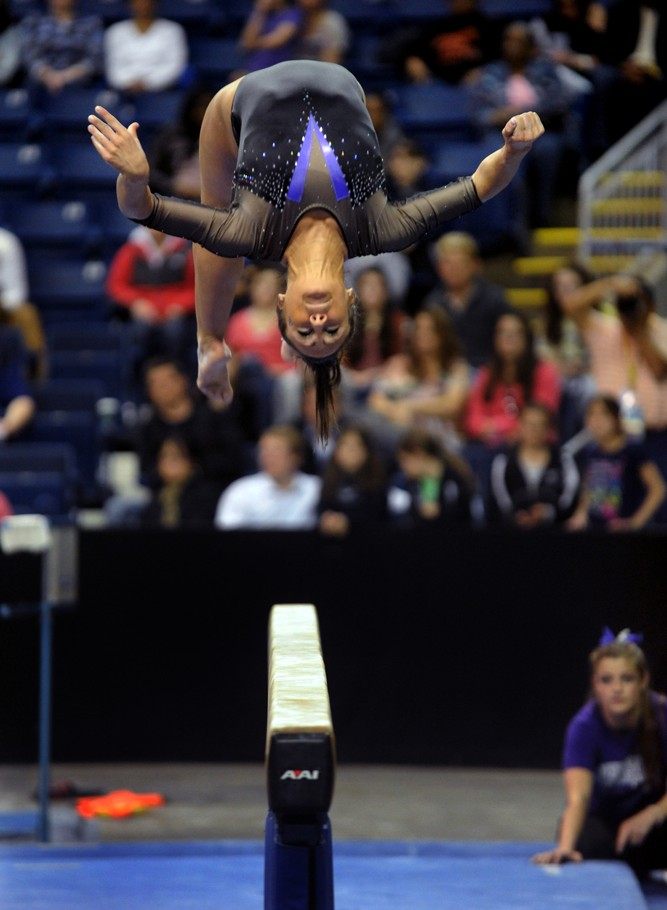 UB wins USA Gymnastics championship
