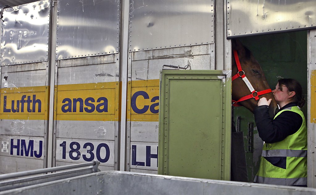 Animal air freight a fruitful but risky endeavor - SFGate