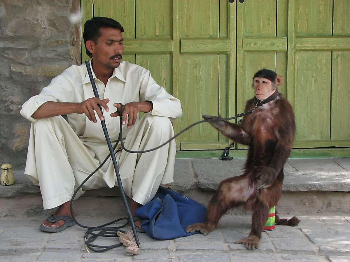 Pakistan-U.S. relations: Behind the distrust