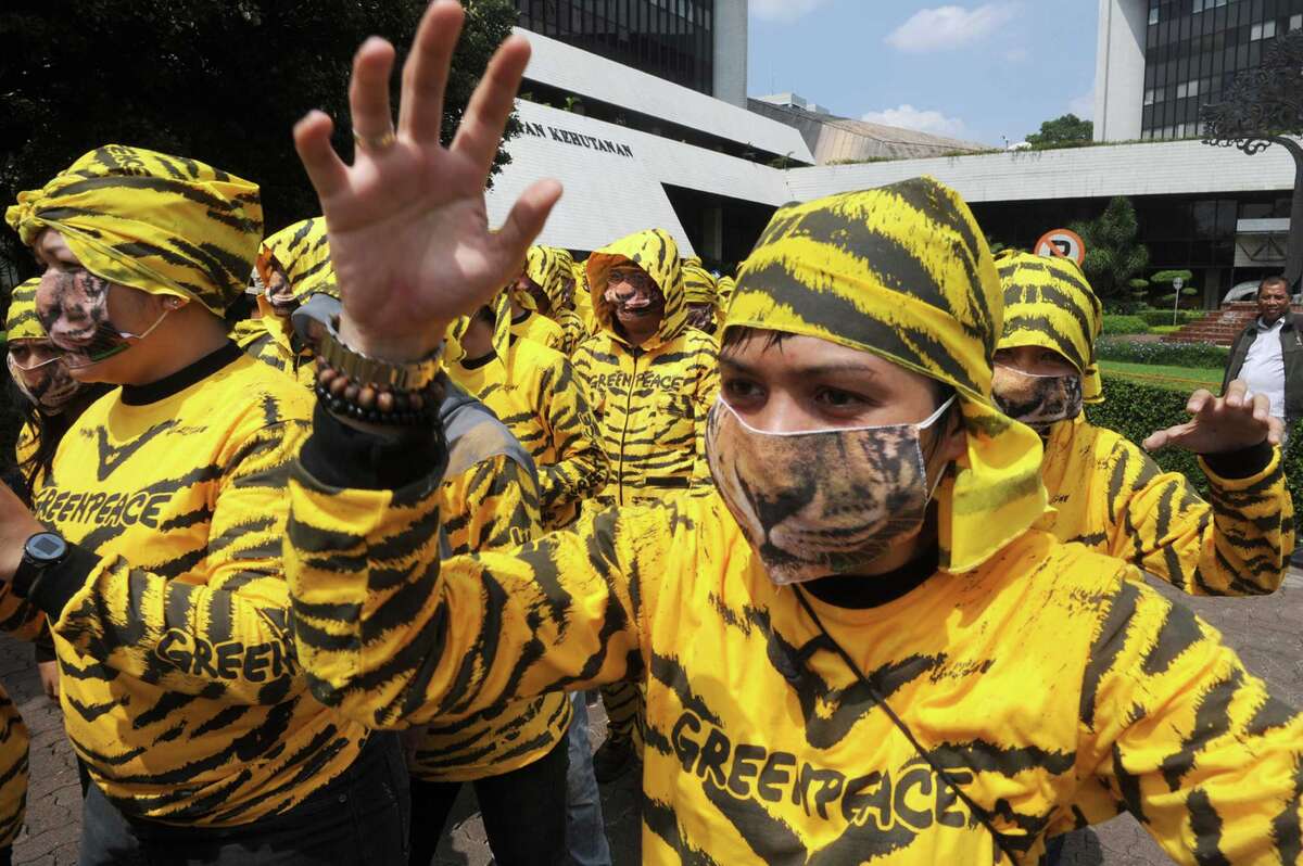 News of the world in photos: Weird tiger protest