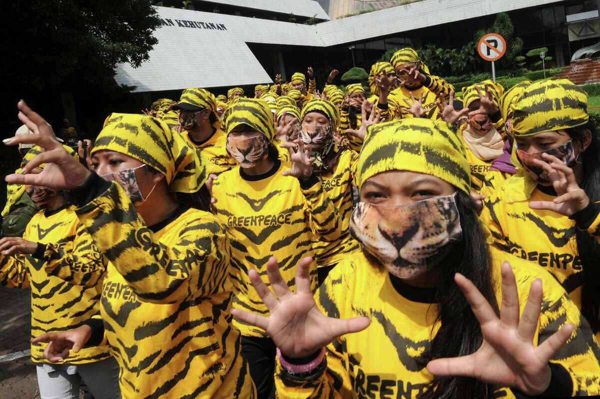 News of the world in photos: Weird tiger protest
