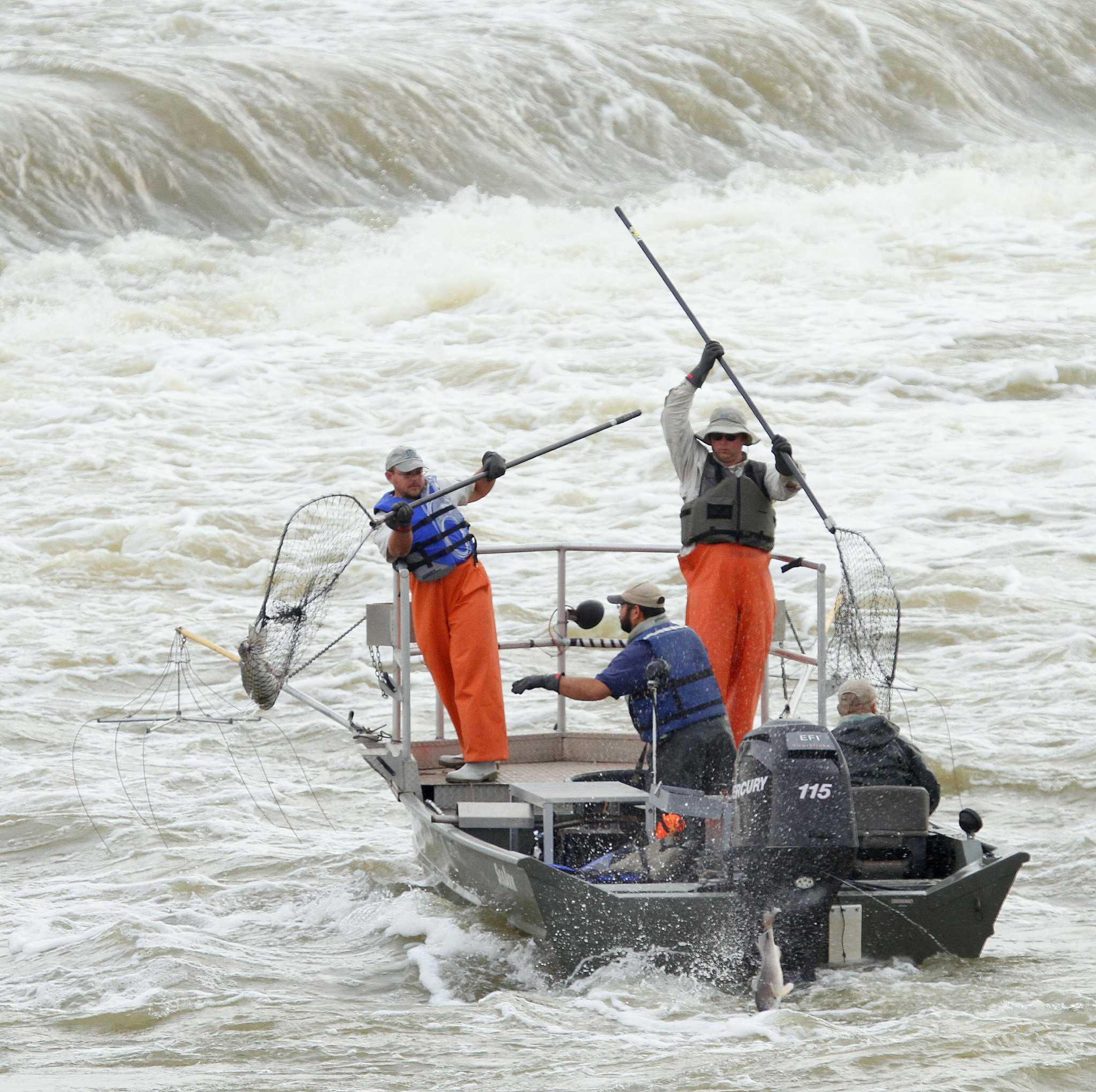 Tompkins: State's annual fishing trip crucial for striped bass