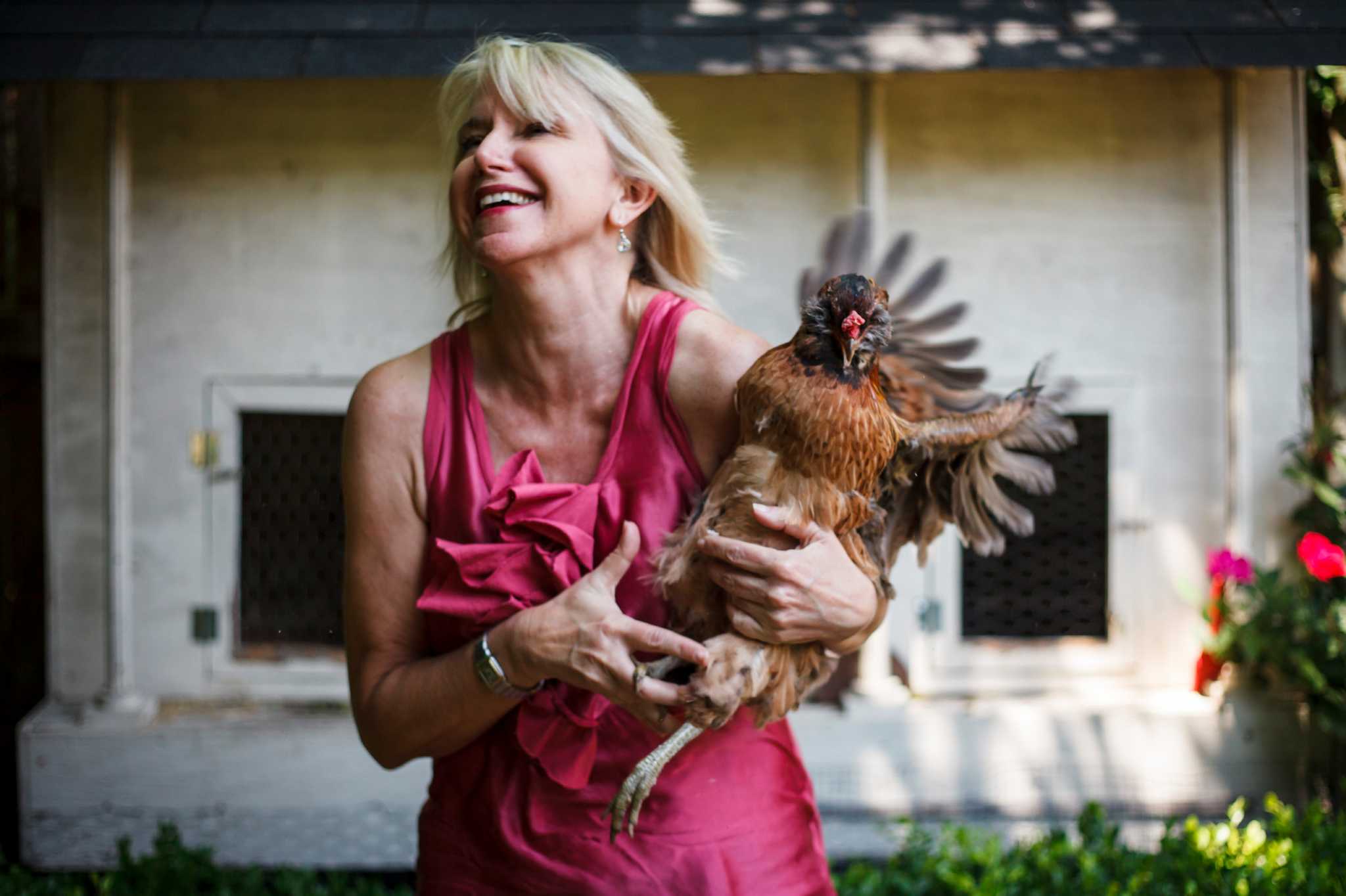 Backyard chicken wranglers should be good neighbors