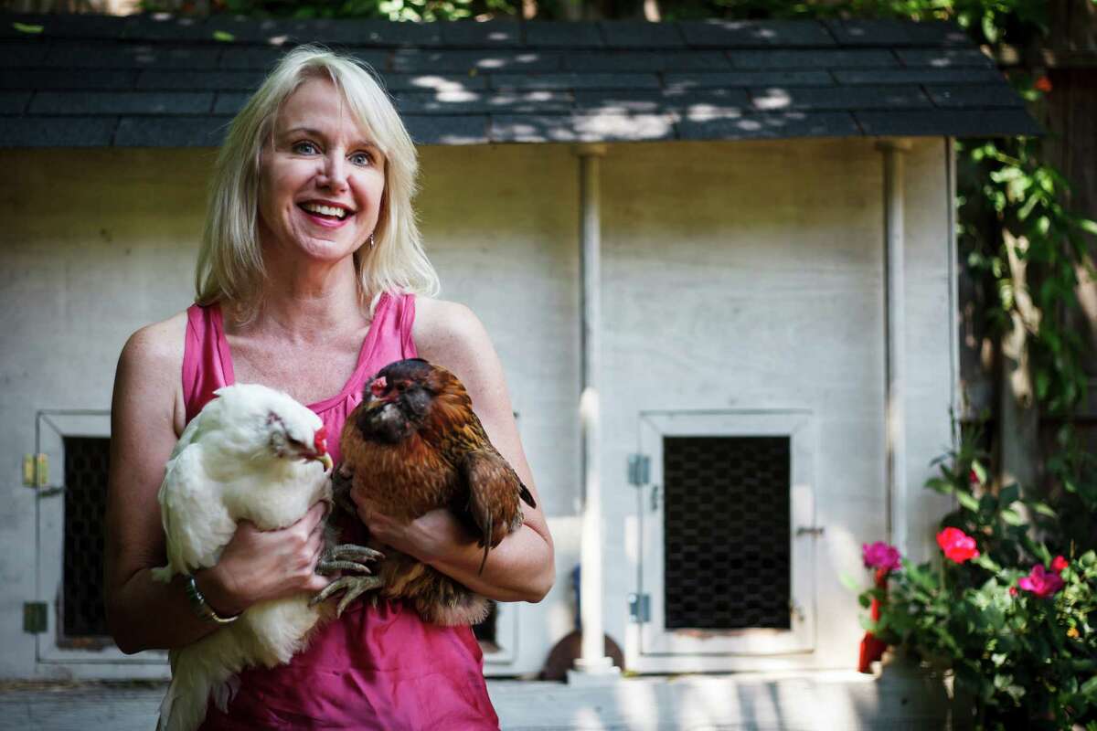 Backyard chicken wranglers should be good neighbors