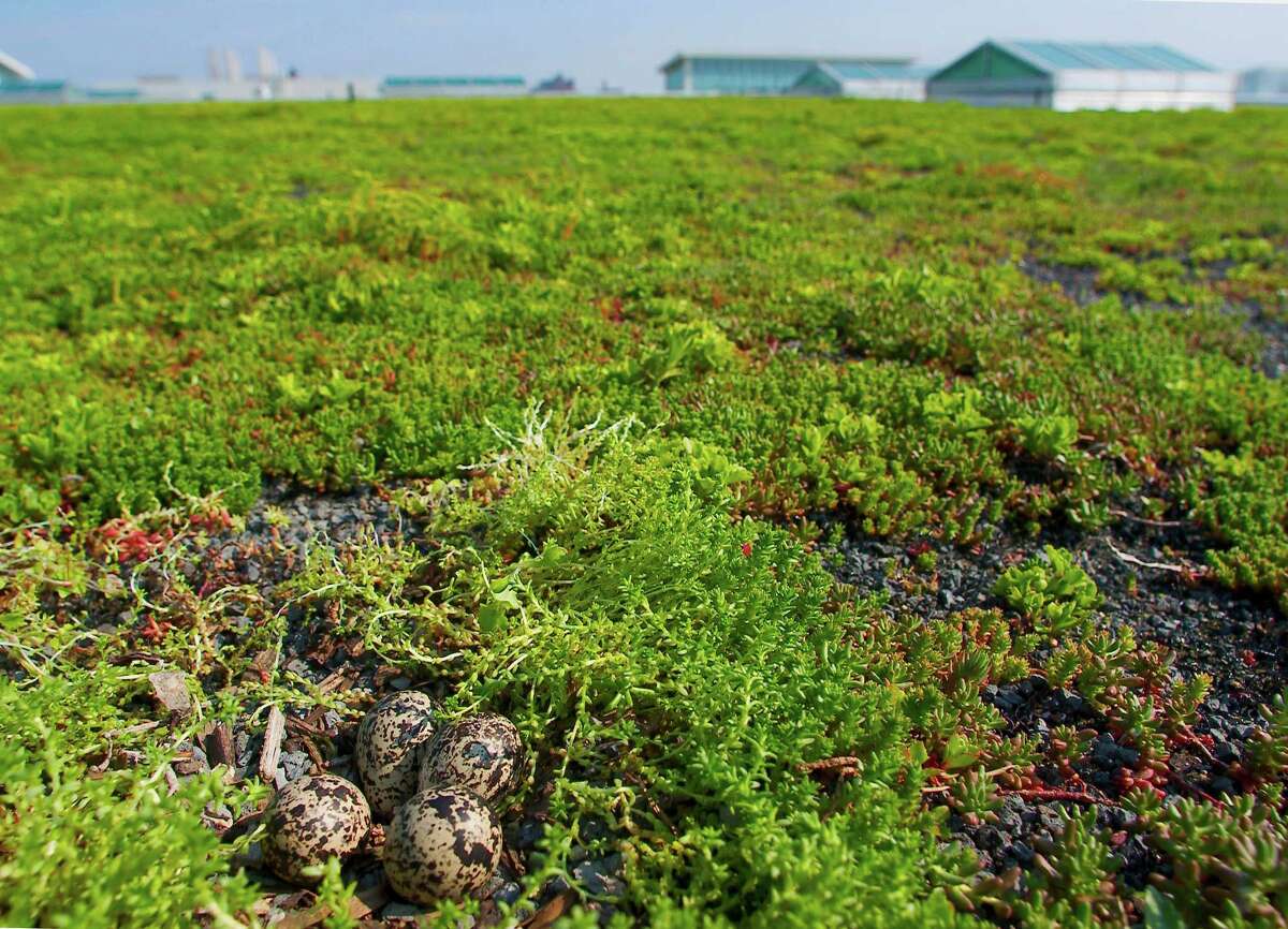 Houston, William McDonough has a solution