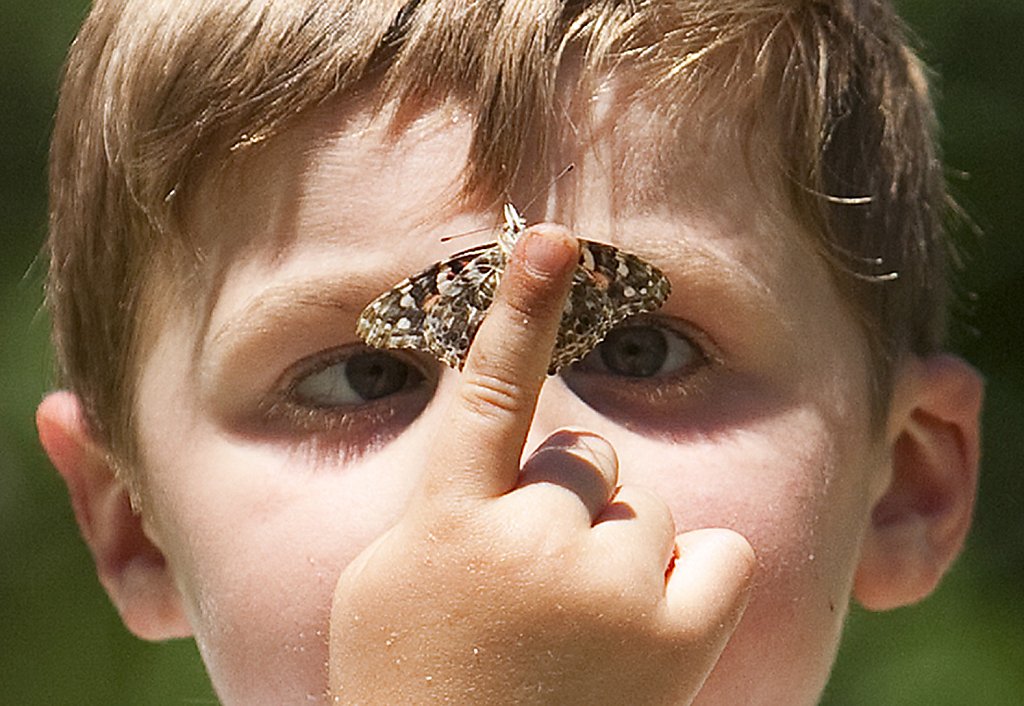 SFGate: Day in Pictures
