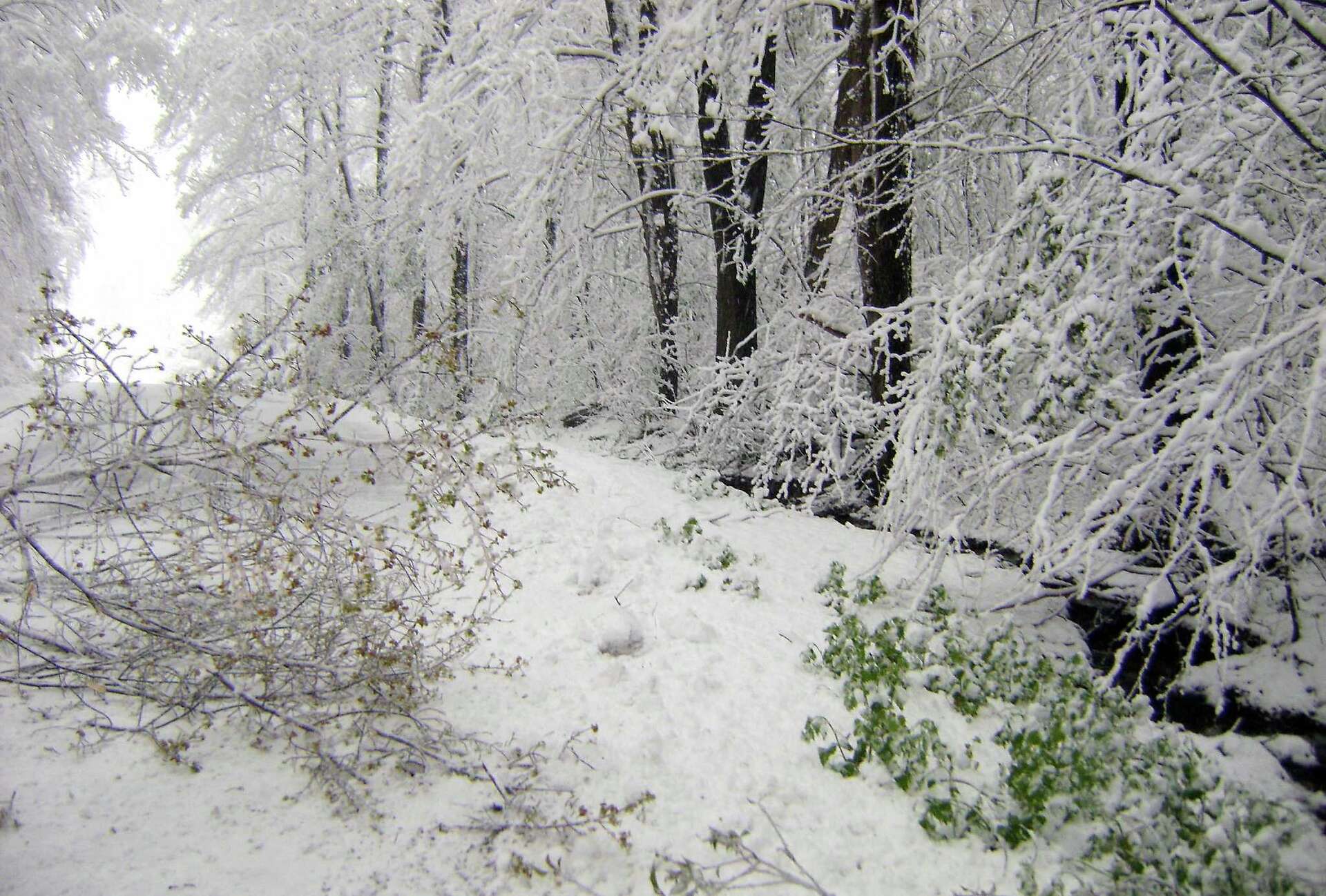News of the world in photos: April snow in Northeast