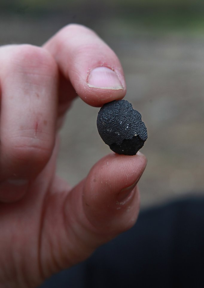Astronomer finds meteorite pieces in Gold Country