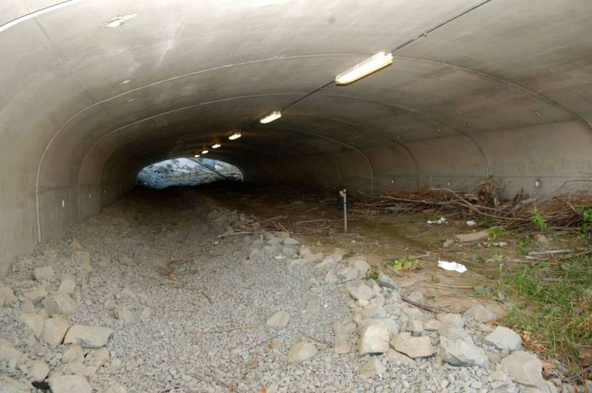 New Route 7 bypass friendly to turtles, snakes, salamanders