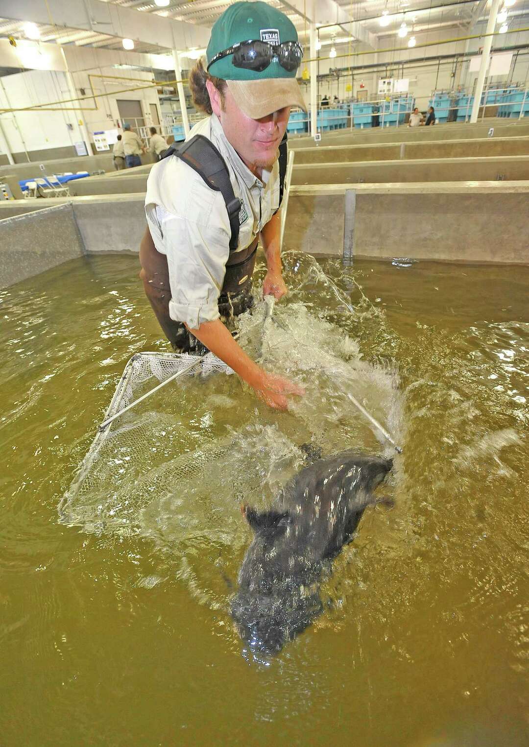New hatchery will load Texas waters with millions of fish
