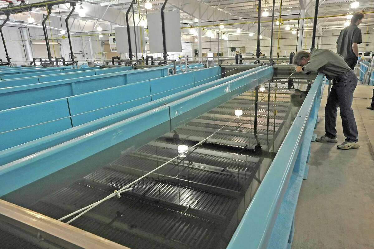 New hatchery will load Texas waters with millions of fish