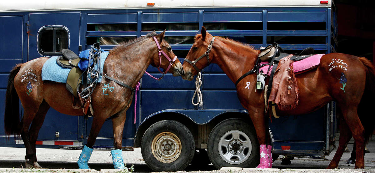 Battle of Flowers: cheers, smiles and families