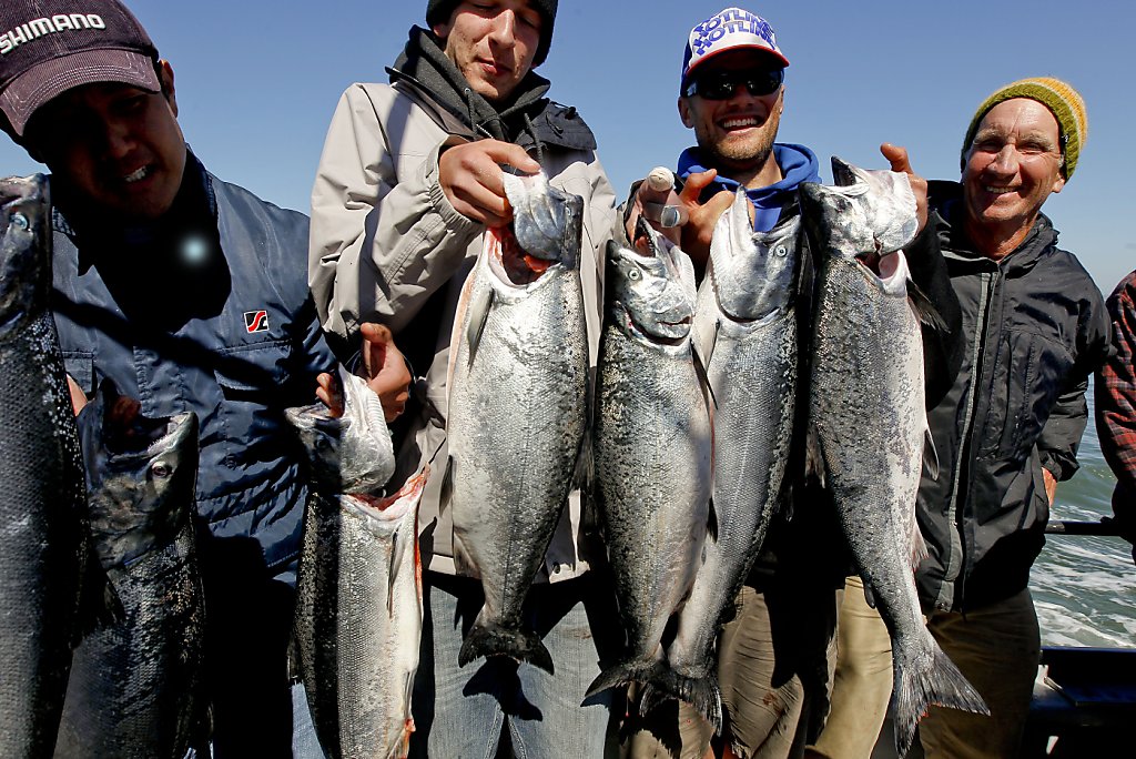 Banner year for salmon? Go fish