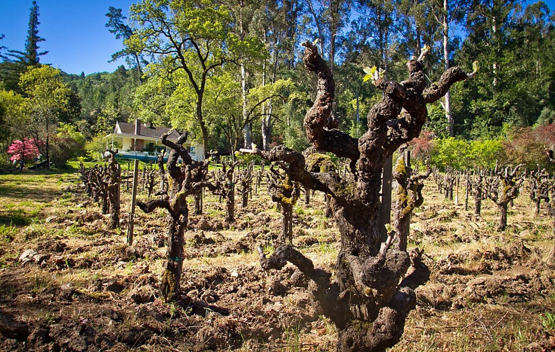 As 2013 rolls in, 5 themes for change in wine