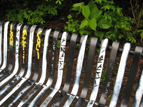 Shelton wants crackdown on graffiti