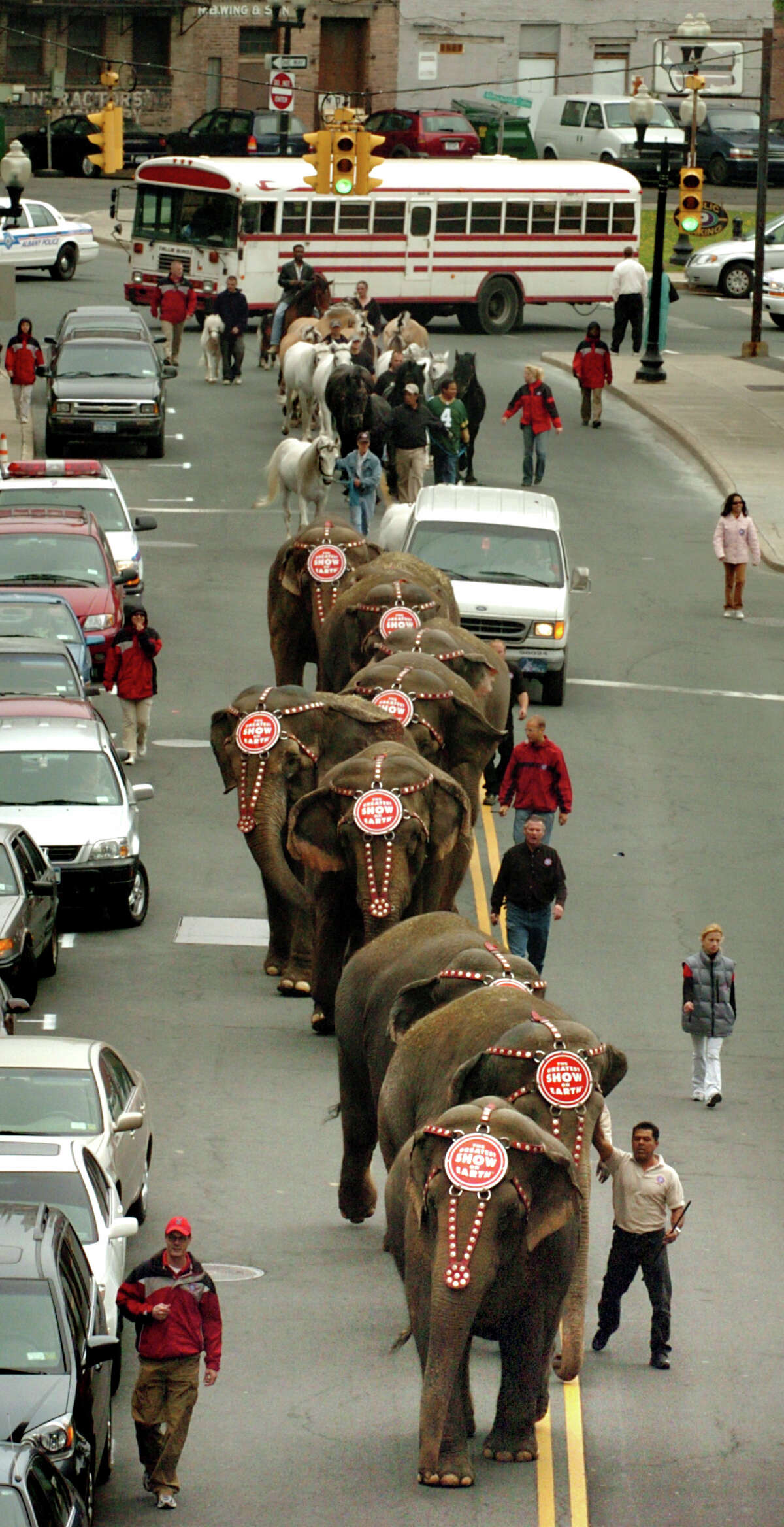 Circus elephants parade on Tuesday