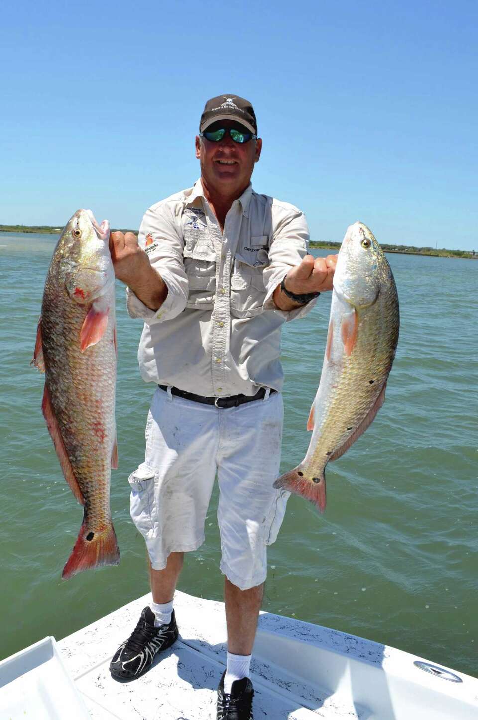 Winning the live-bait battle